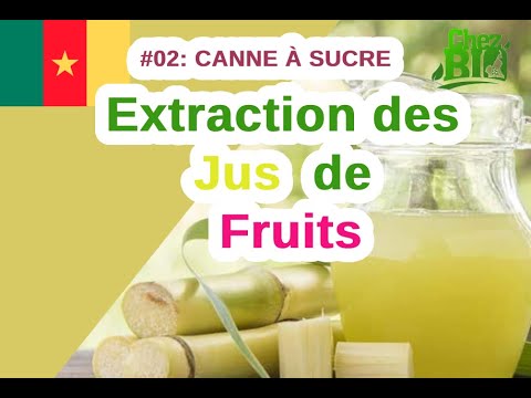 #02 Extraction des jus de fruit (CANNE À SUCRE) au CAMEROUN - YouTube