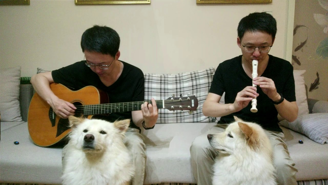 4 USD Yamaha YRS-23 Soprano Recorder(Salley Garden)30元的雅马哈竖笛 YRS-23 ...