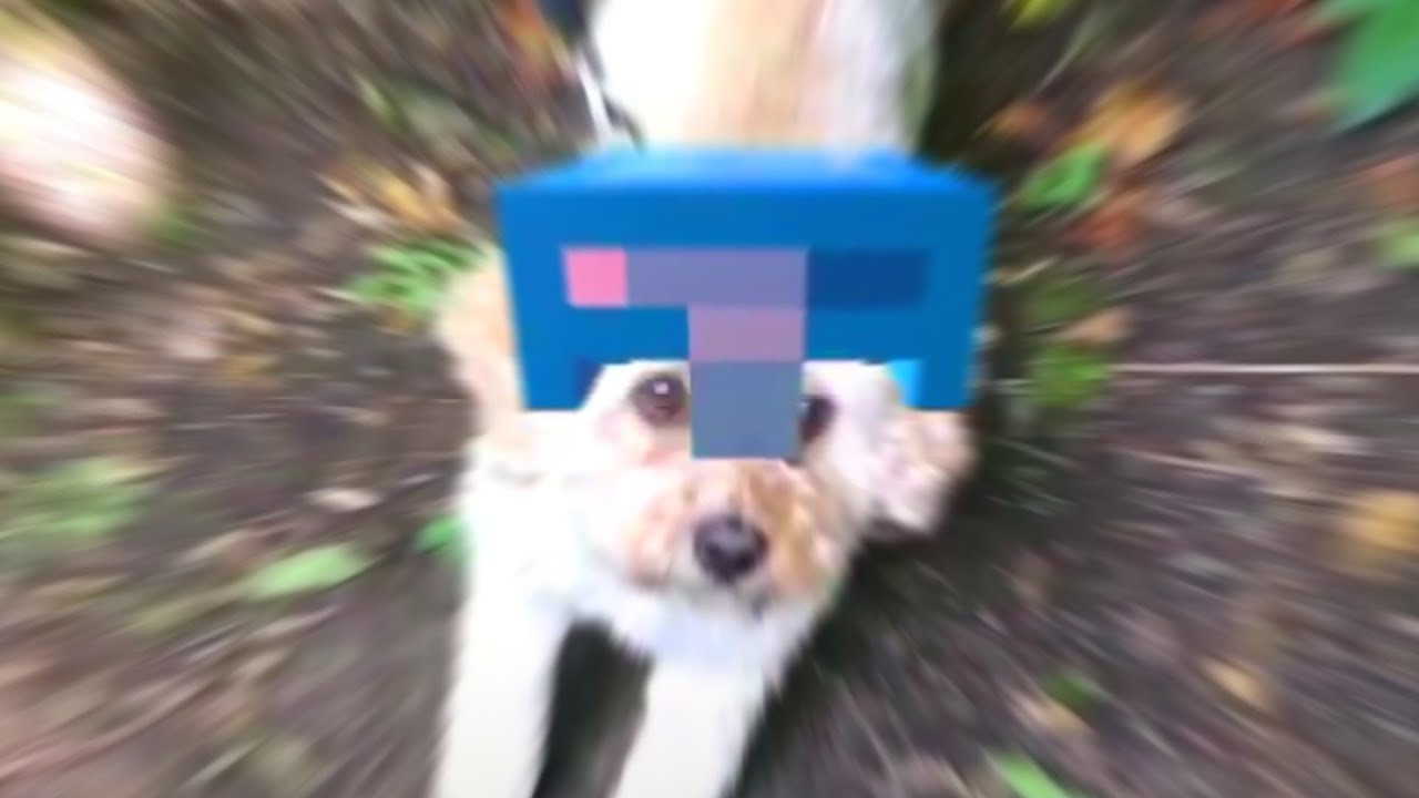 Dog Plays Minecraft... - YouTube