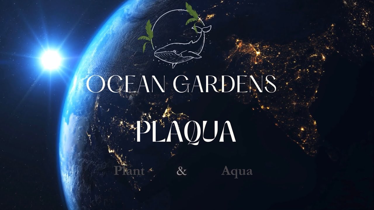 PlAqua 🌊🌱 | هاكثون تحدي تطبيقات الفضاء🚀 - YouTube