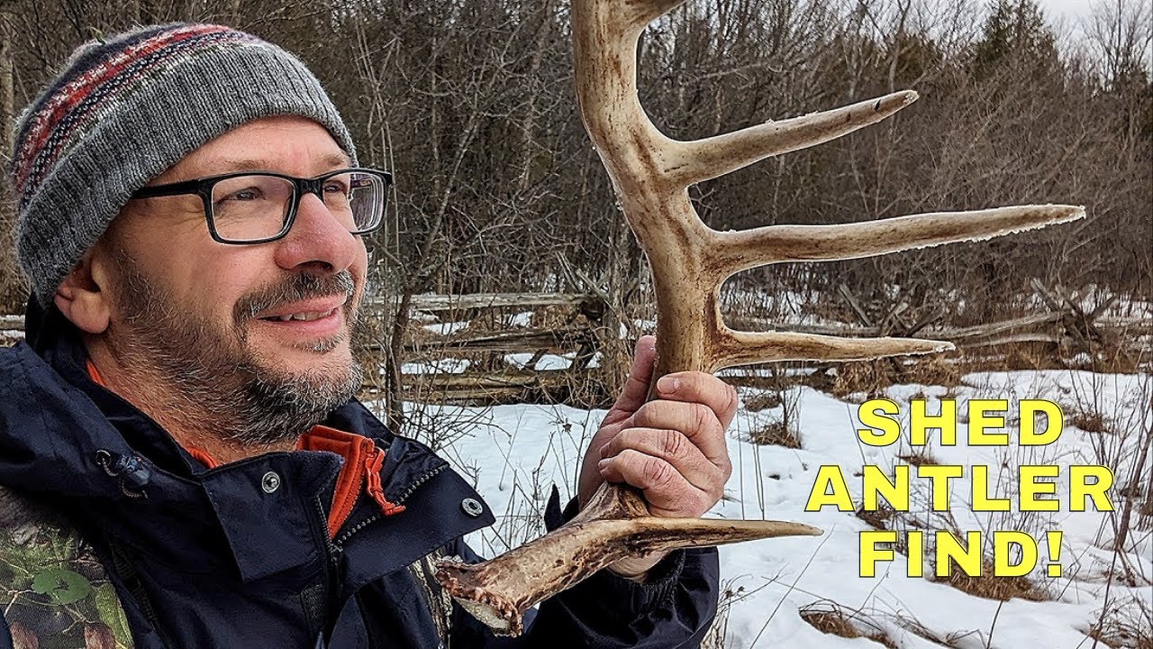 BIG Ontario Whitetail Deer Shed Antler | 2023 Shed Hunt - YouTube