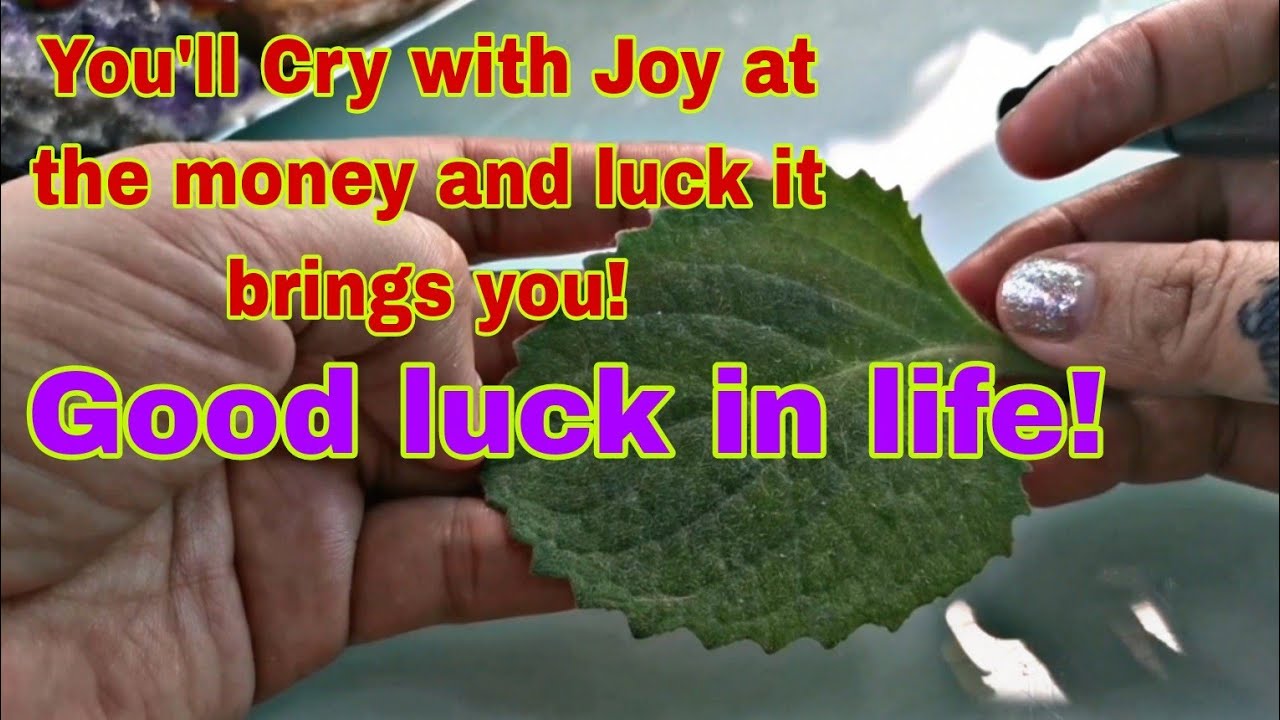 You'll cry with joy at the money and luck it brings you! Good luck in ...