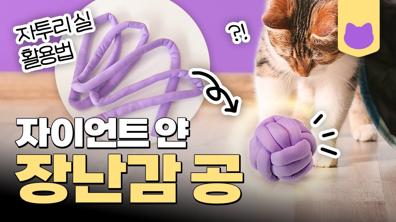 자이언트 얀 자투리 실 활용법🧶 10분 완성 고양이 장난감 공 만들기 포캣 Diy 고양이 장난감 추천 Diy 손뜨개 다이소 자이언트 얀 Youtube