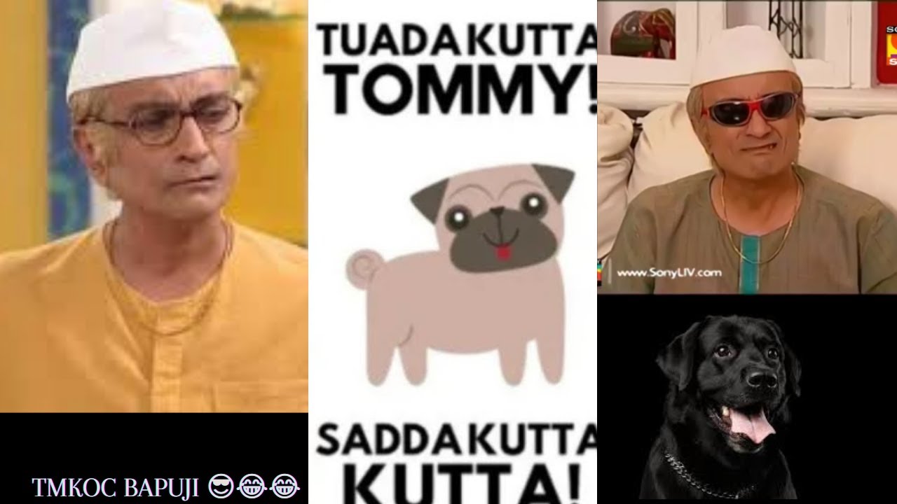 Tauda Kutta🐶Tommy Sada kutta kutta|Yashraj Champak Chacha(TMKOC) video ...