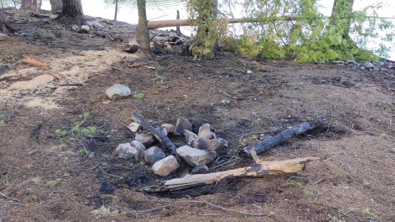 Forest Fire aftermath @ OSA Lake Killarney Prov Park (incident was from ...