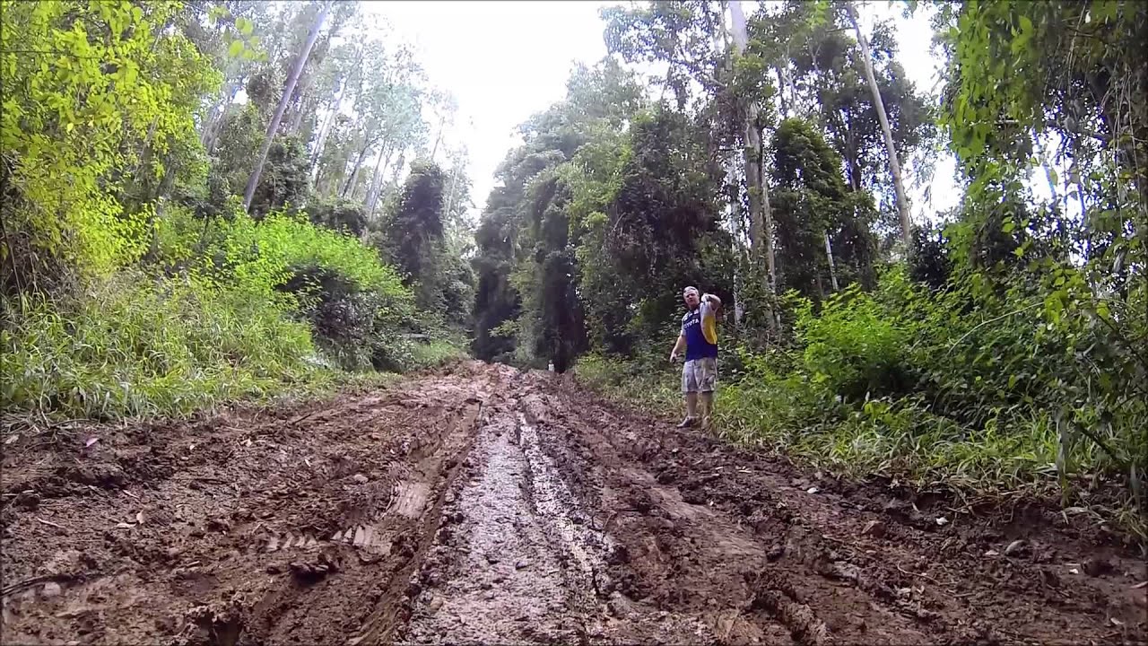 Bellthorpe National Park, Queensland - YouTube