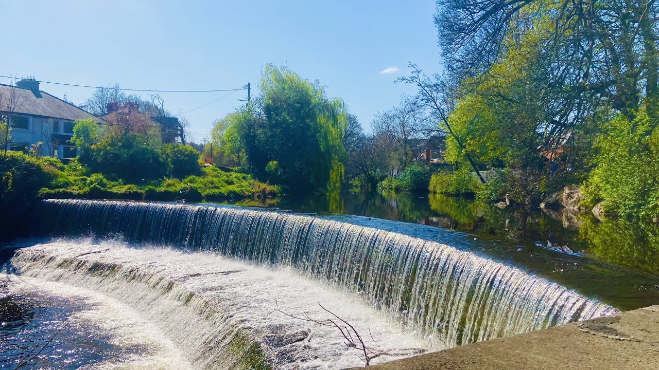 [4K] Dublin VLOG | Cycling to Bushy Park, Dartry Park (03-April-2021 ...