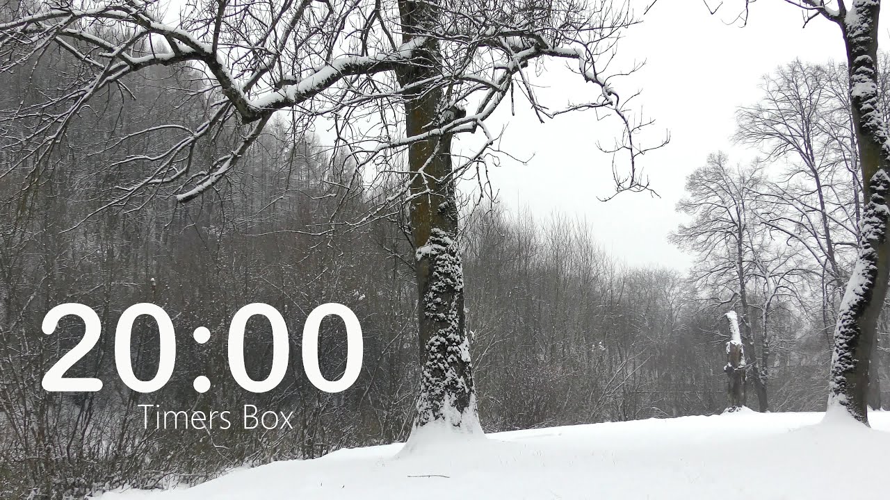 20 Minute Winter Timer - Calm & Relax with Soothing Music ️ Teachers ...