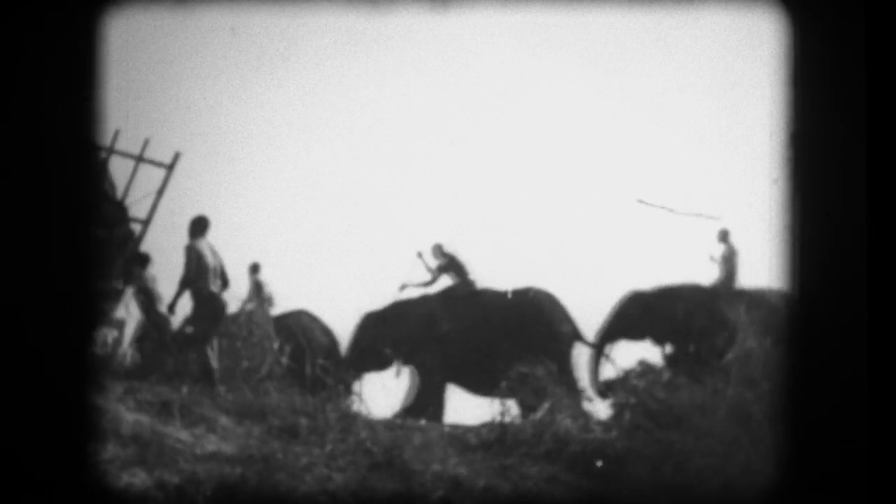 Hunting and Taming of African Elephants - Fang und Zähmung ...