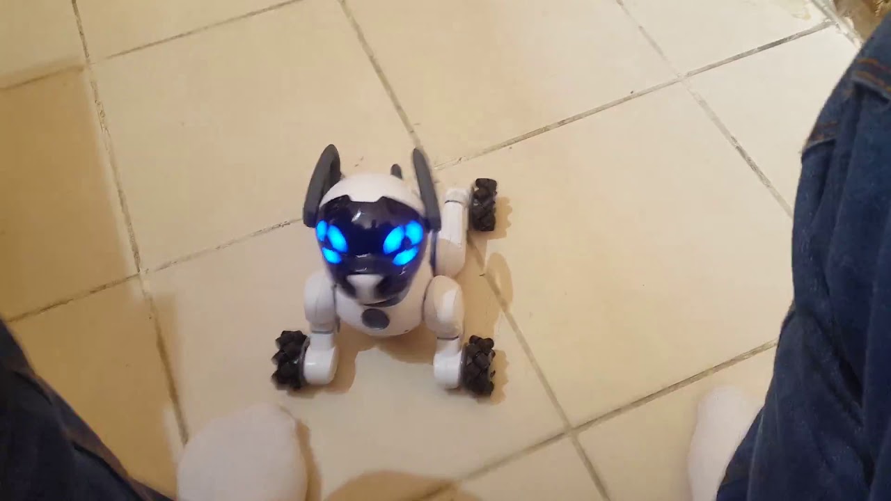 Hacking chip the robot dog, first tests - YouTube