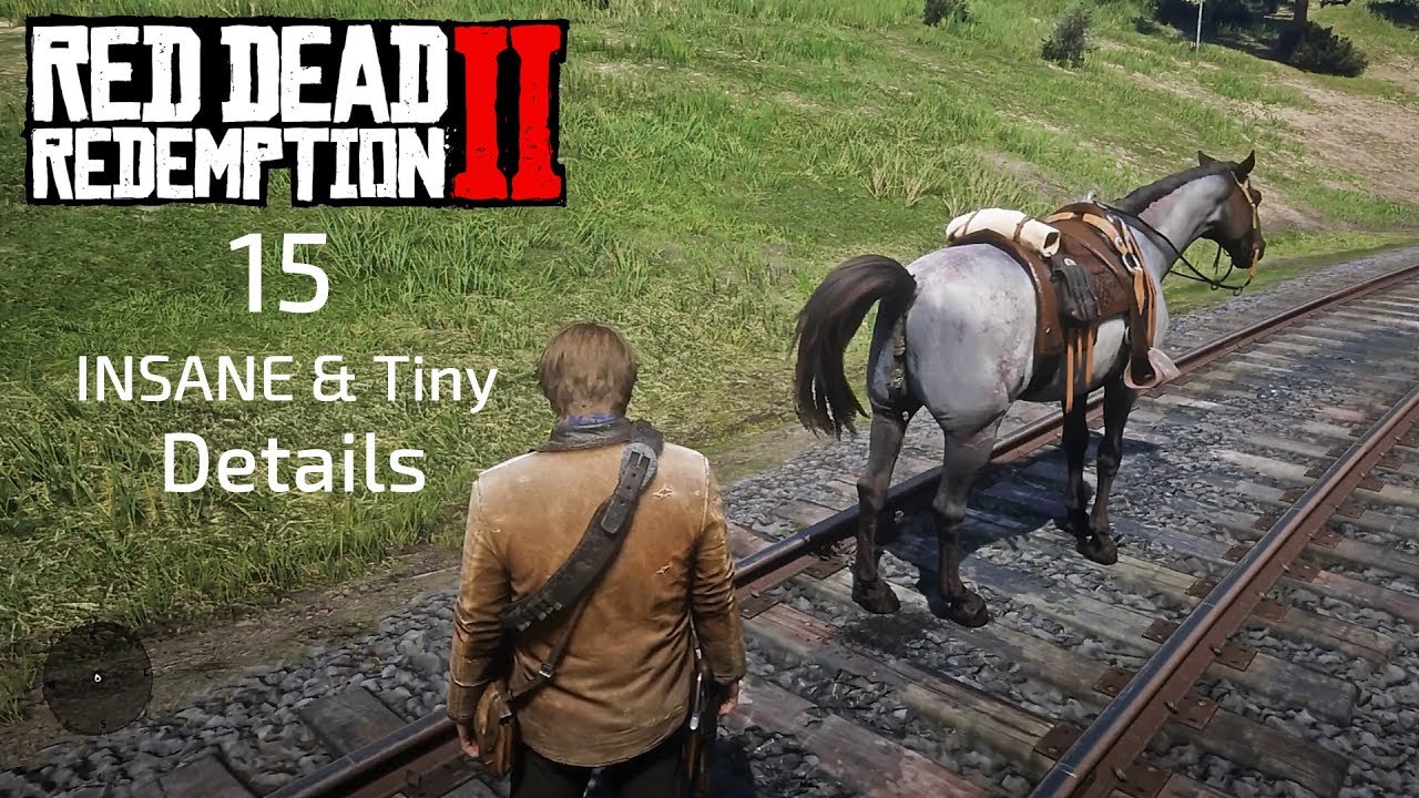 15 INSANE & Tiny Details in Red Dead Redemption 2 (RDR 2) - YouTube