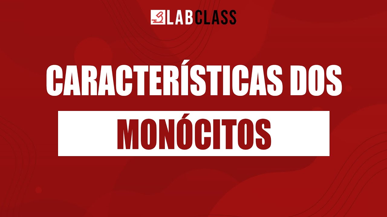 Características dos monócitos - YouTube