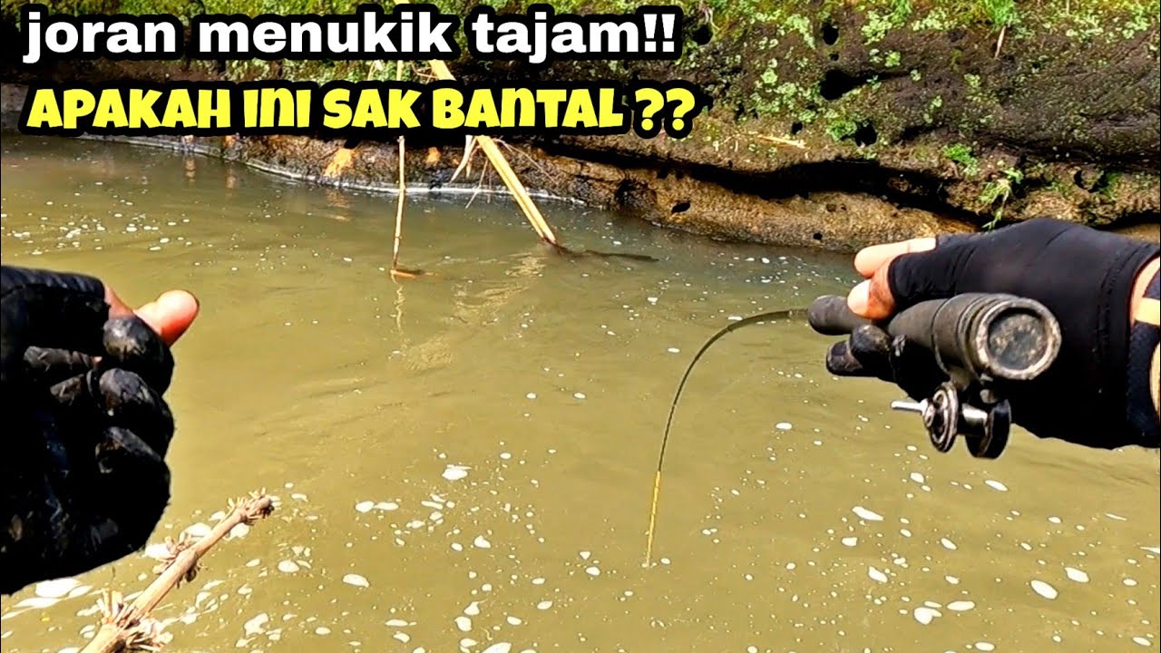 mancing ikan nilem kali progo hulu - YouTube