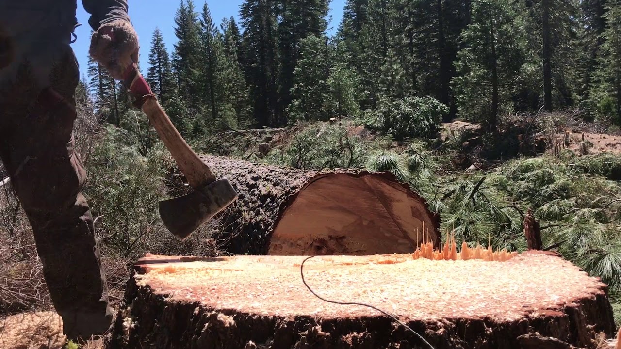 Cedar dust - YouTube