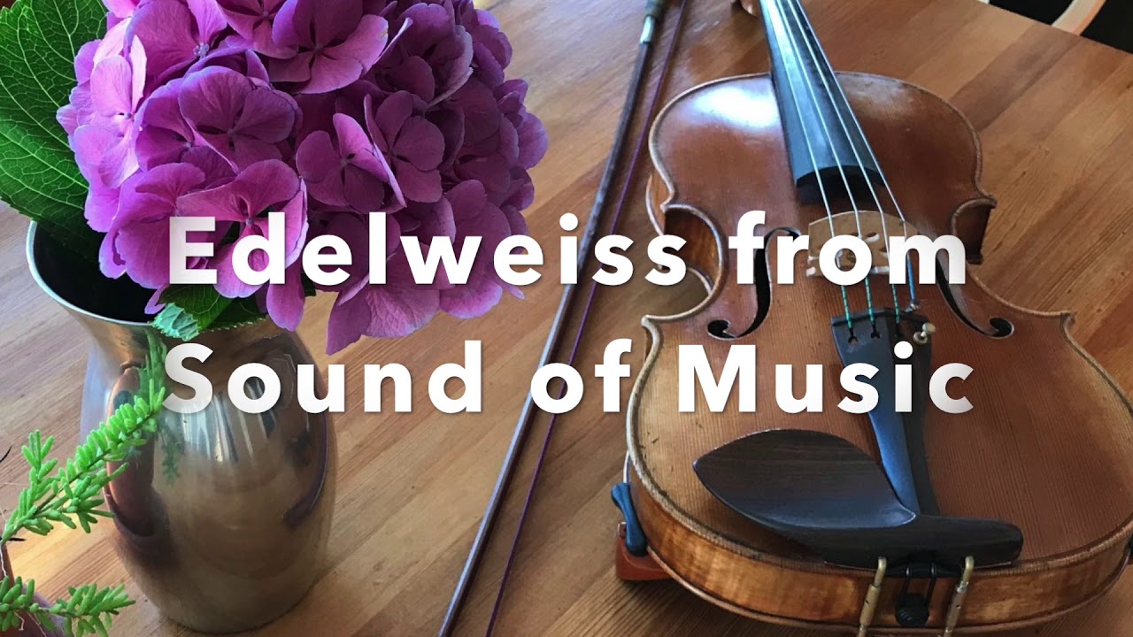 Edelweiss - violin and harp duo - YouTube