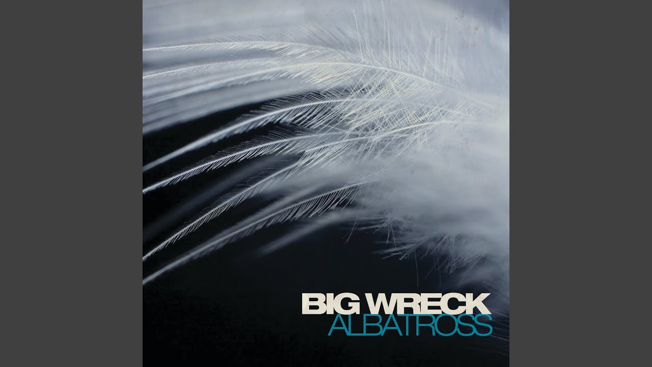 Albatross - YouTube Music