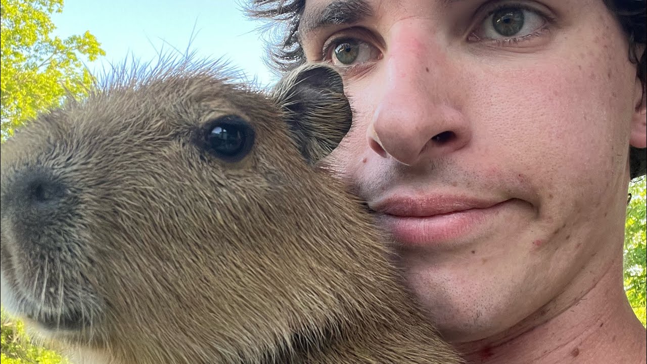 His name is Quandale Dingle - YouTube