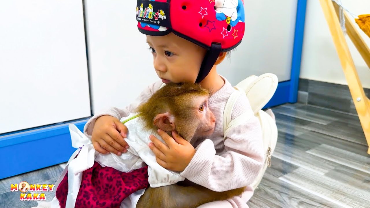 Monkey Kaka's Emotional Goodbye to Diem Before School Starts - YouTube