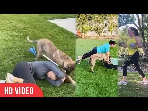 Preity Zinta Garden Workout Video With Her DOG Bruno | Quarantine Workout