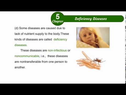 Environmental Studies Class 5 Chapter 05,Deficiency Diseases, Part 01 ...