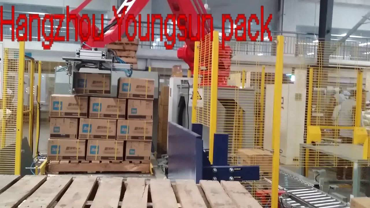 Youngsun packing line of laundry detergent carton packer + palletizer 1 ...