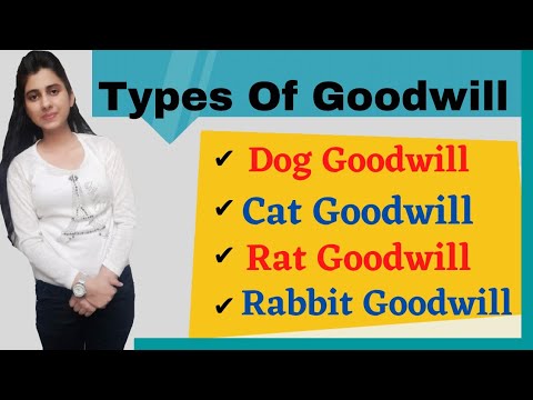 Types of Goodwill [Dog,Cat,Rat,Rabbit Goodwill] - YouTube