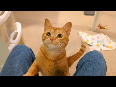 You have much more to give me human - YouTube