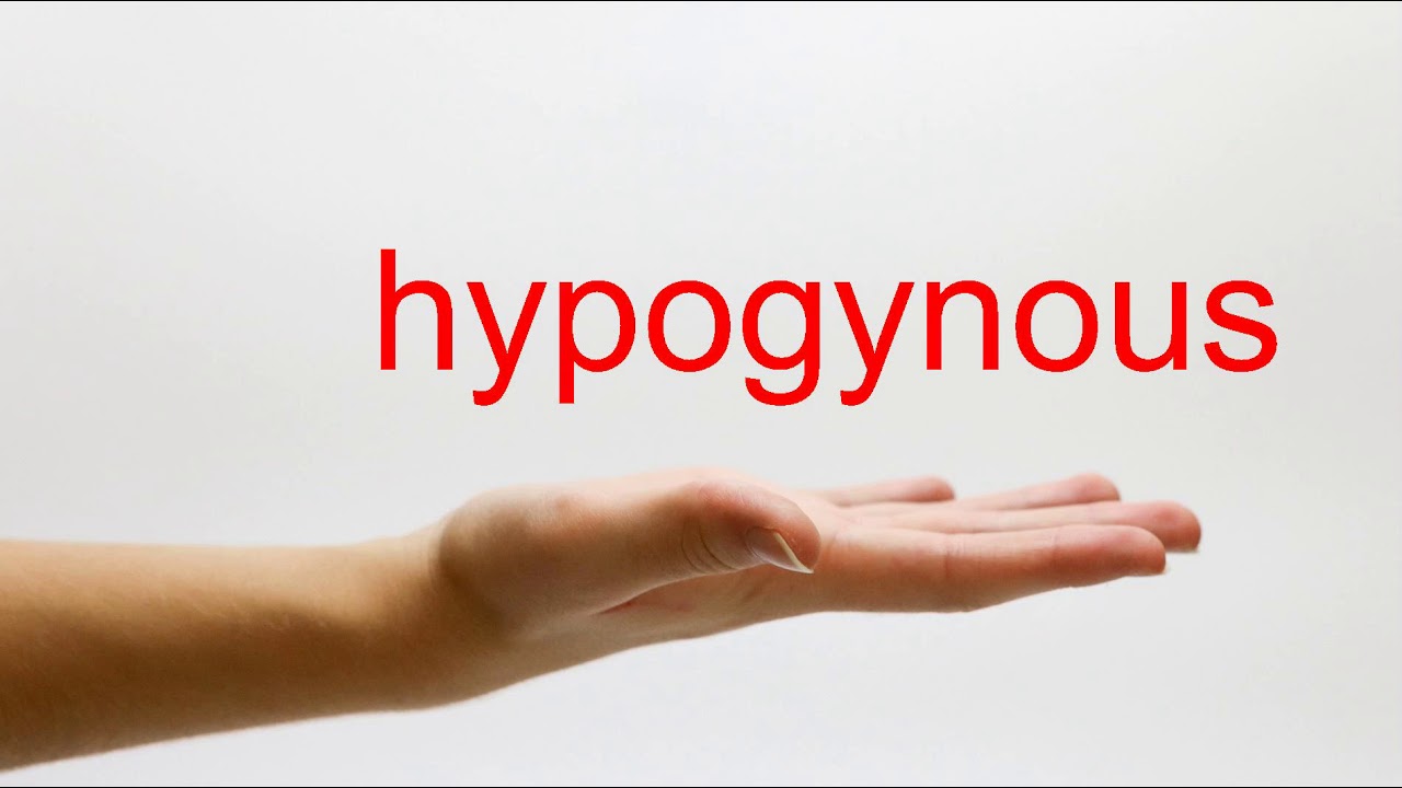 How to Pronounce hypogynous - American English - YouTube