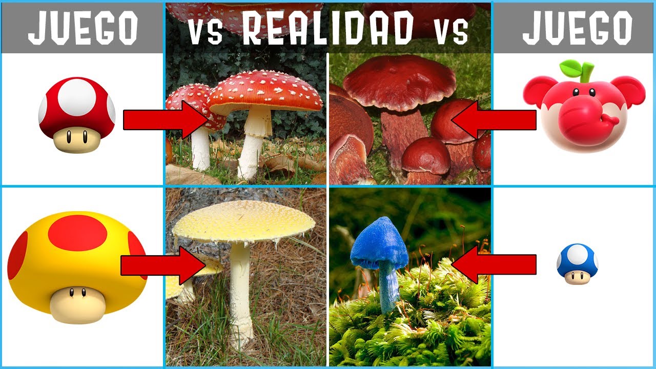 Hongo Mario De La Vida Real Así Funciona El Hongo Cordyceps De The