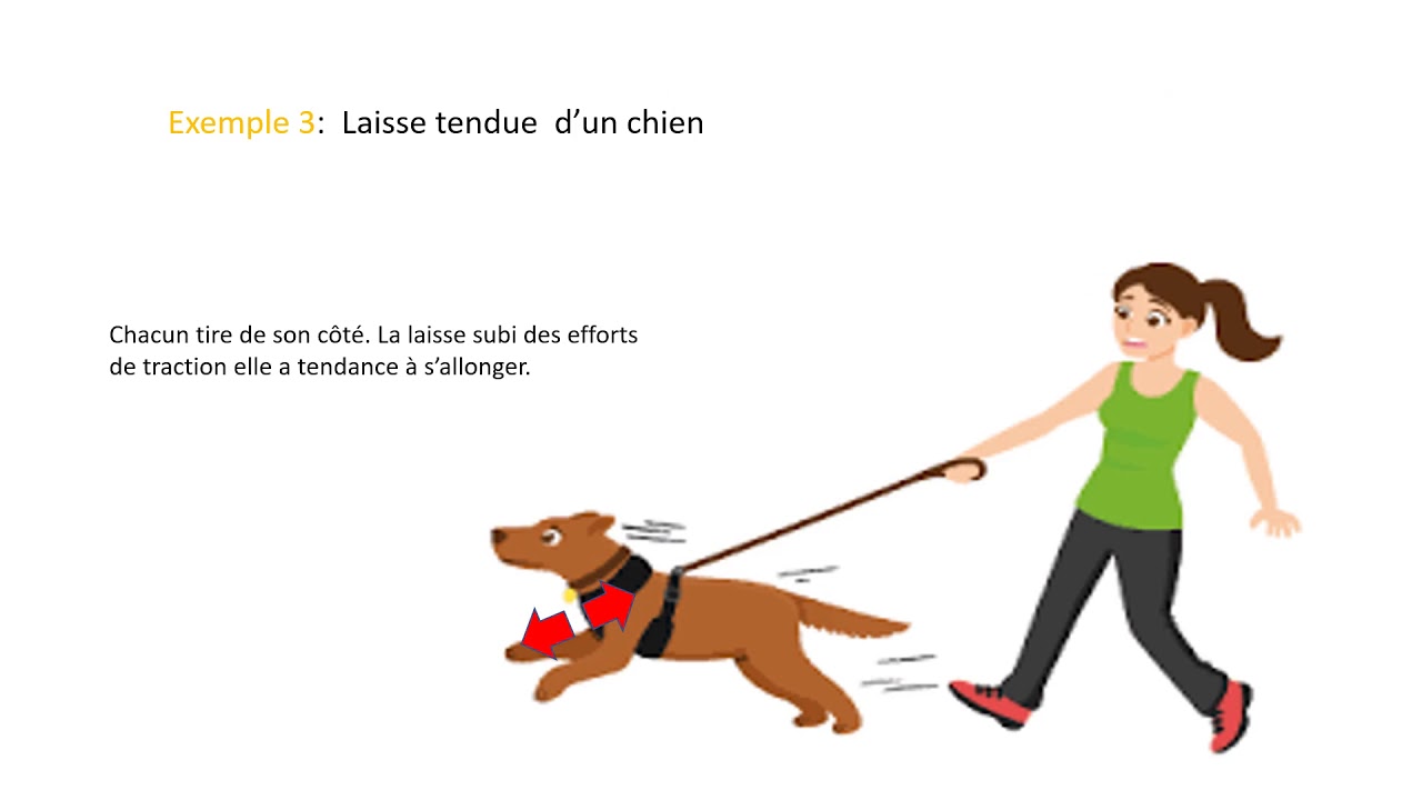 Traction compression flexion - YouTube