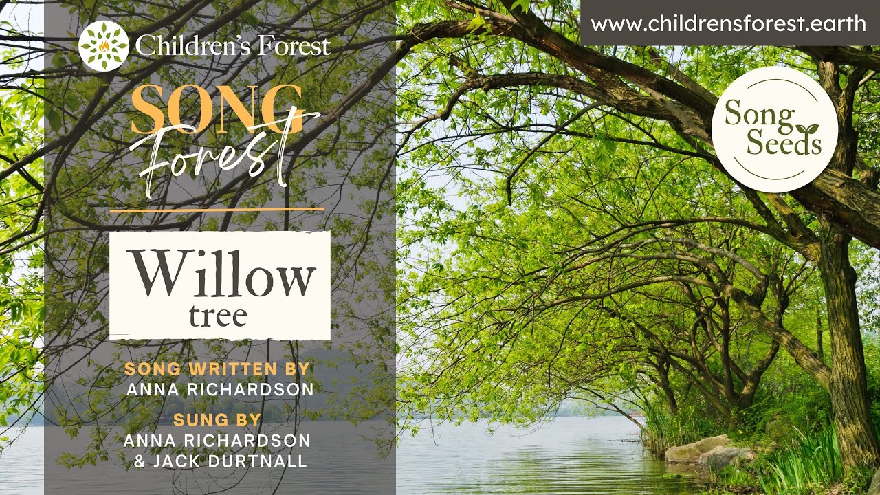 Willow Song - YouTube Music