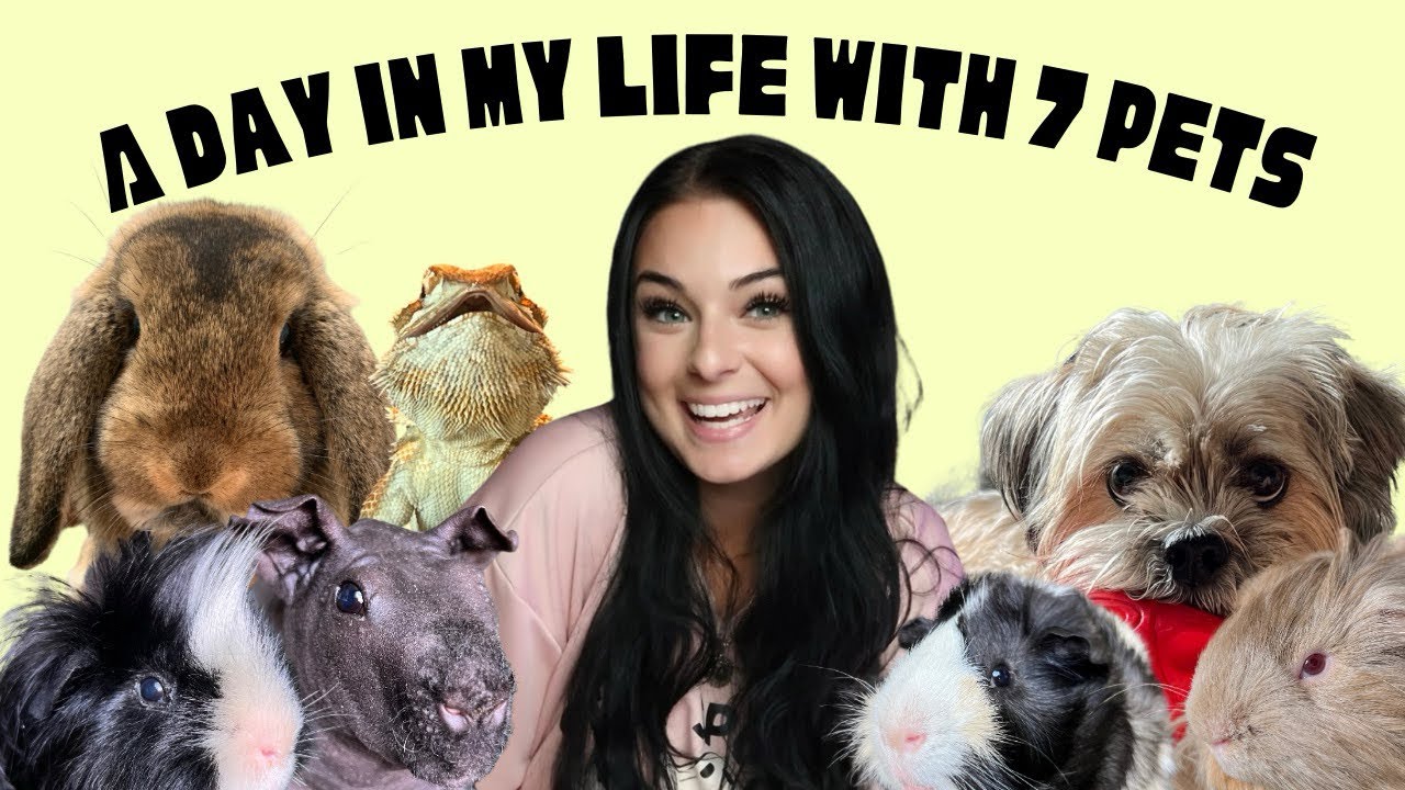 A Day In My Life With 7 CRAZY pets!! - YouTube