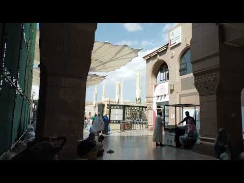 Madina Munawra Free Medicine     #royalmemberfitness #subscribe #makkah #madina #short #fit #short