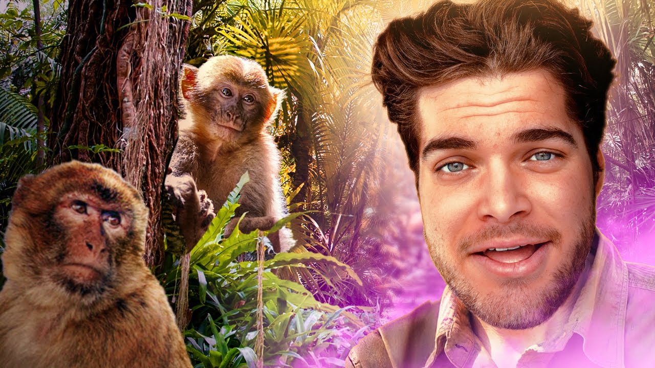 Dropping Game on Monkeys in Gibraltar - YouTube