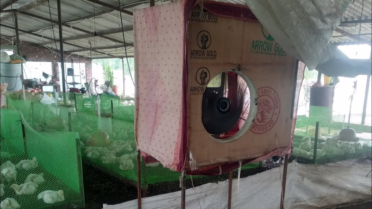 DIY air filter for poultry farm best solution to protect from crd - YouTube