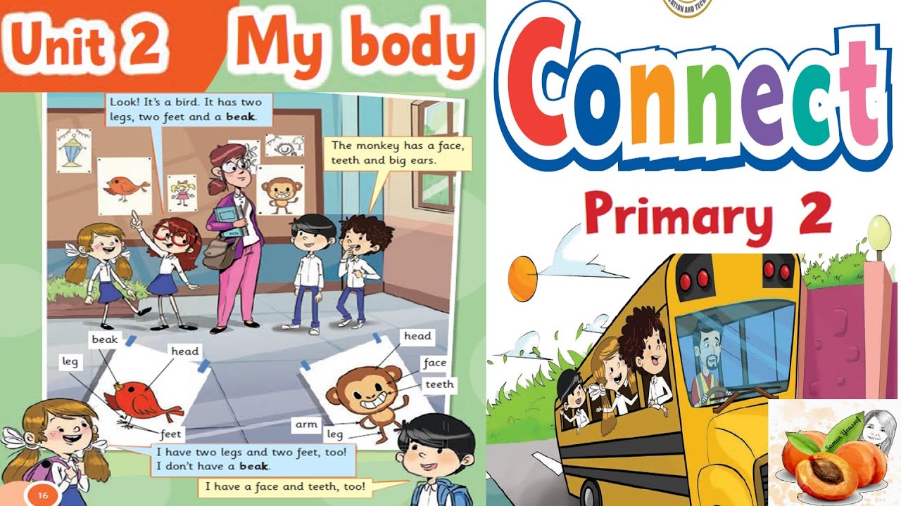 Connect for primary 2 unit 2 My body نصوص أستماع الوزارة كونكت ثانية ...