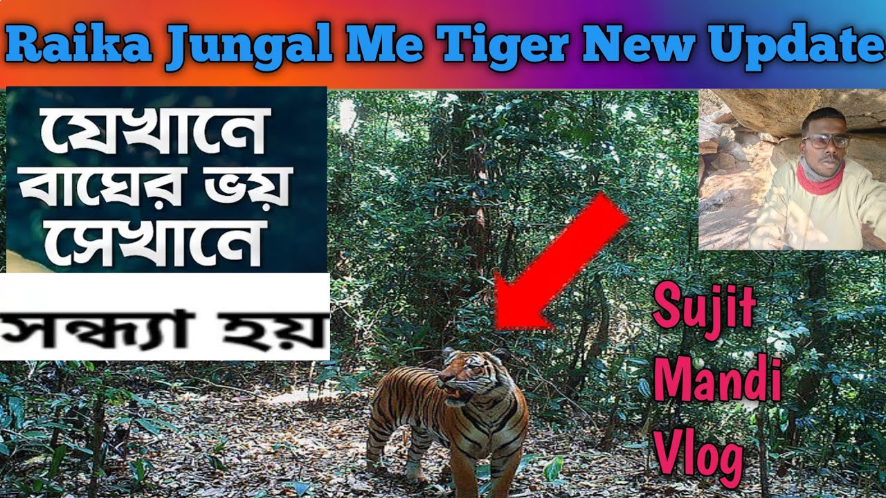 Raika Jungal Me Tiger lSujit Mandi Vlog - YouTube