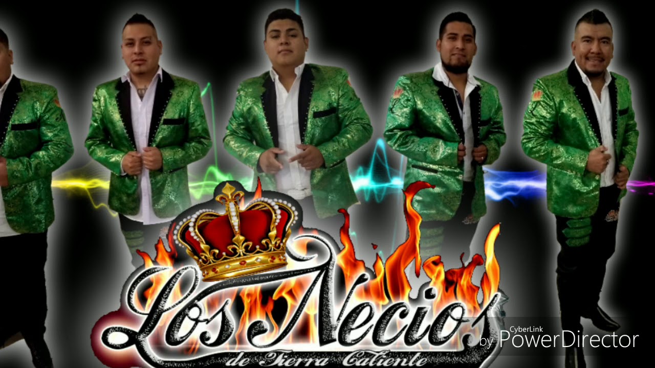 La Iguana - Los Necios De Tierra Caliente (2019) - YouTube