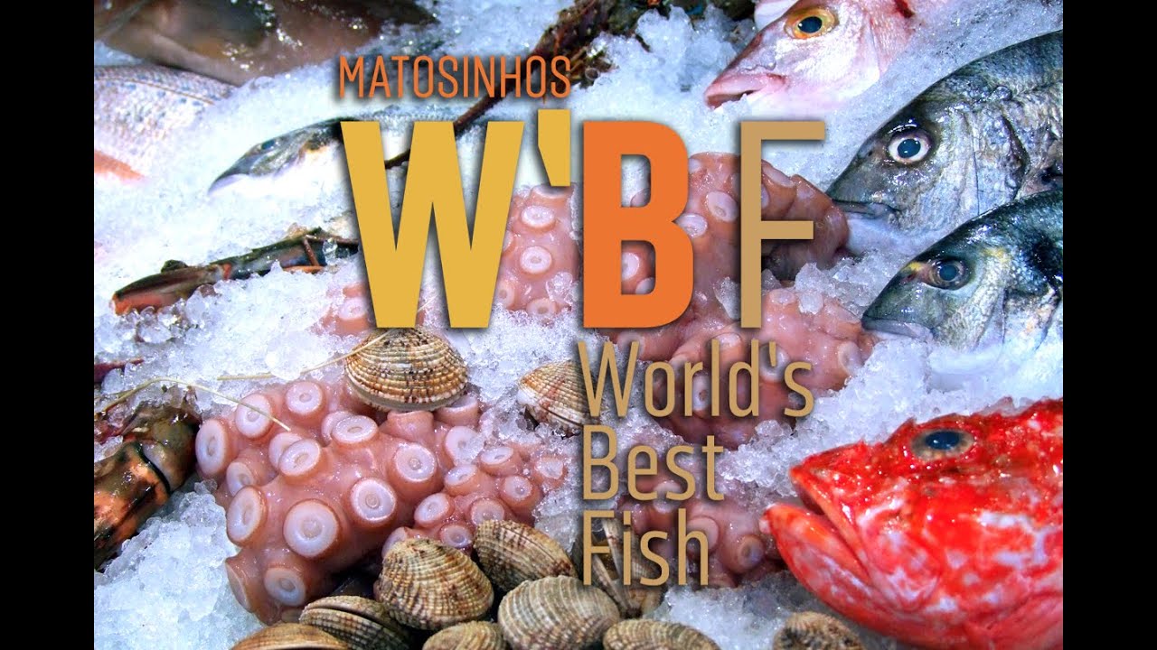 World’s Best Fish - YouTube