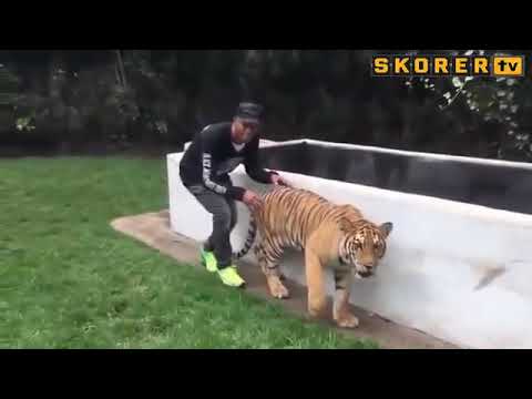 Kaplanın arkasından gizlice gelip korkutan adam!?!?!!