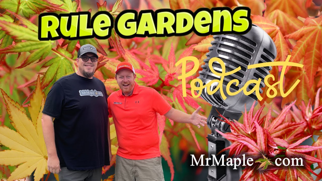 Japanese Maples of Bryan Rule's NC Garden | MrMaple Podcast | Japanese ...