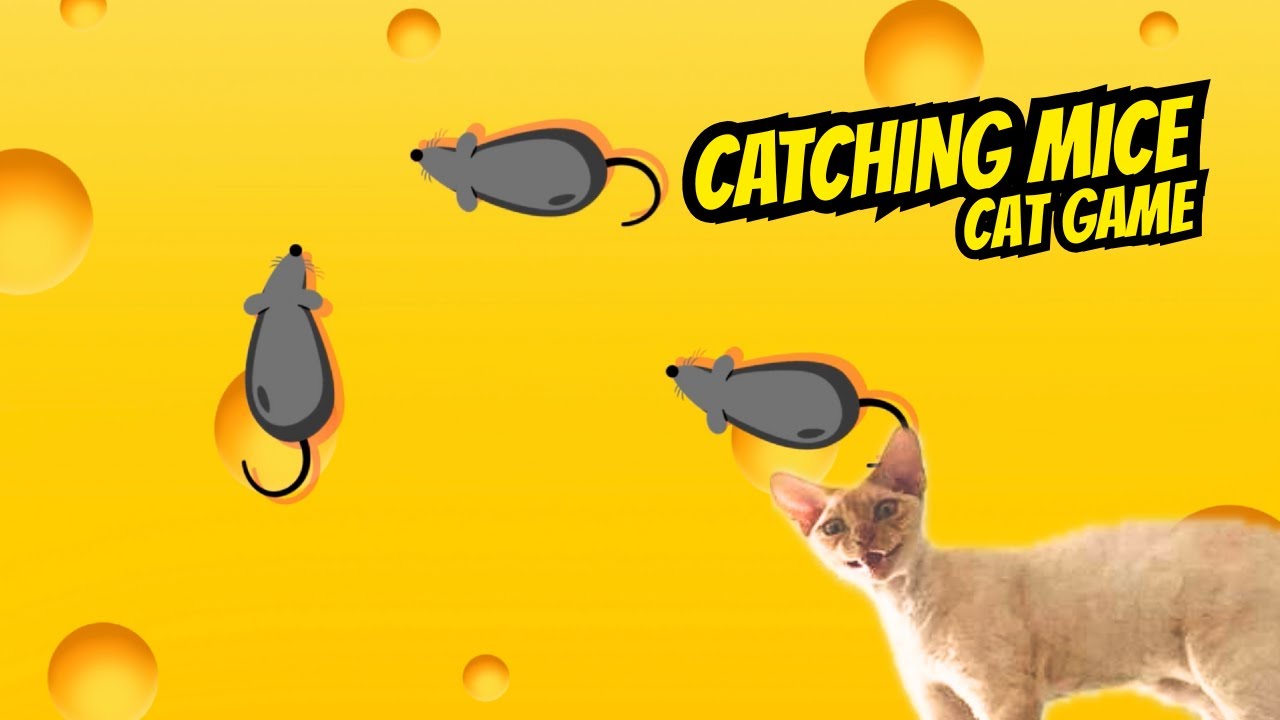 🐭 Mouse Game for Cats - 1 Minute of Fun for Your Cat - YouTube
