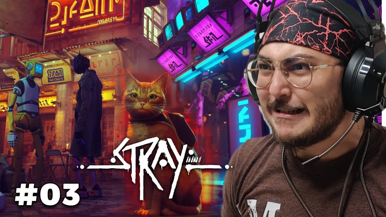 Dangerous Robot Cyber City | STRAY (PS5) Gameplay Part 03 - YouTube