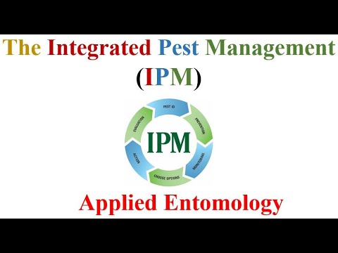 Integrated Pest Management (IPM) - YouTube