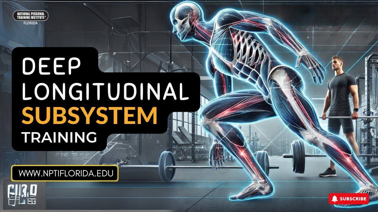 Corrective Exercise Deep Longitudinal Subsystem Training at NPTI ...