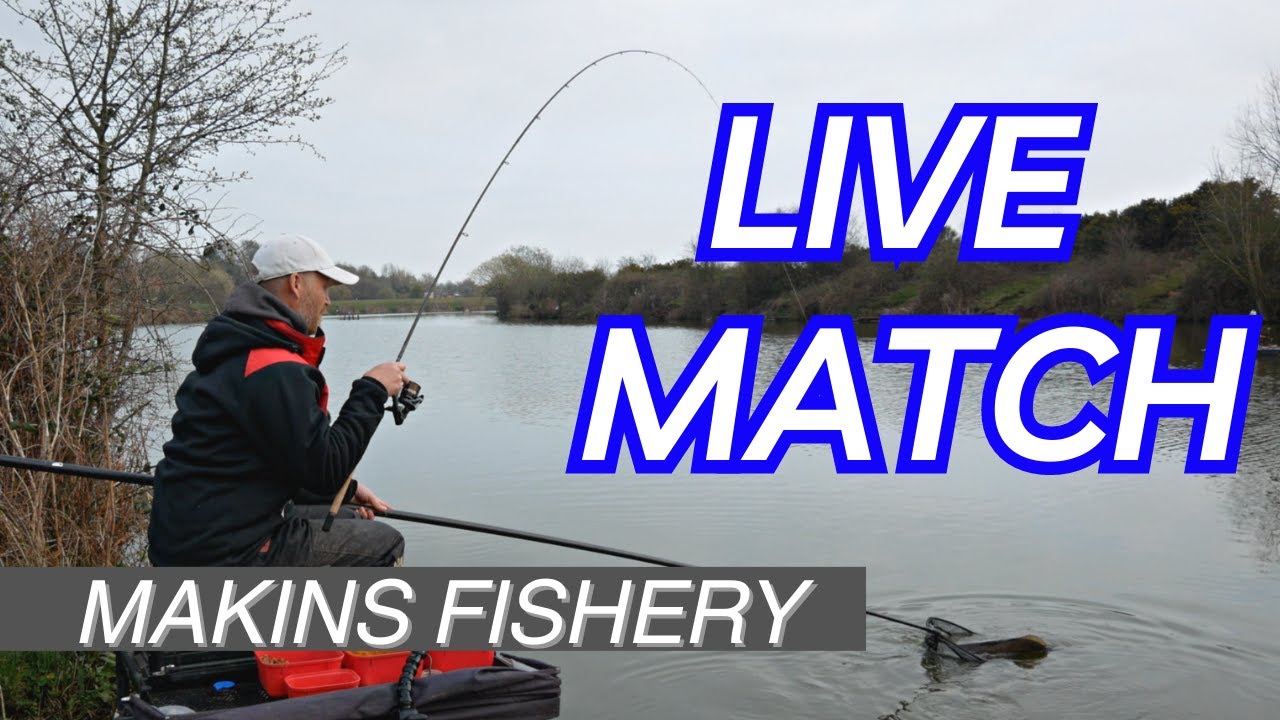 Match Fishing - LIVE MATCH - MAKINS FISHERY, Rob Wootton - YouTube