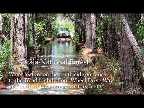 Ocala National Forest South entry to the Tread Lightly Four Wheel Drive ...