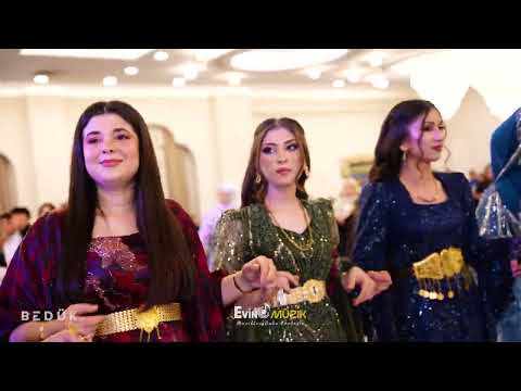 Segavi (Üç Ayak)  Halay 2026 Evin Müzik© - Çoban Ailesi