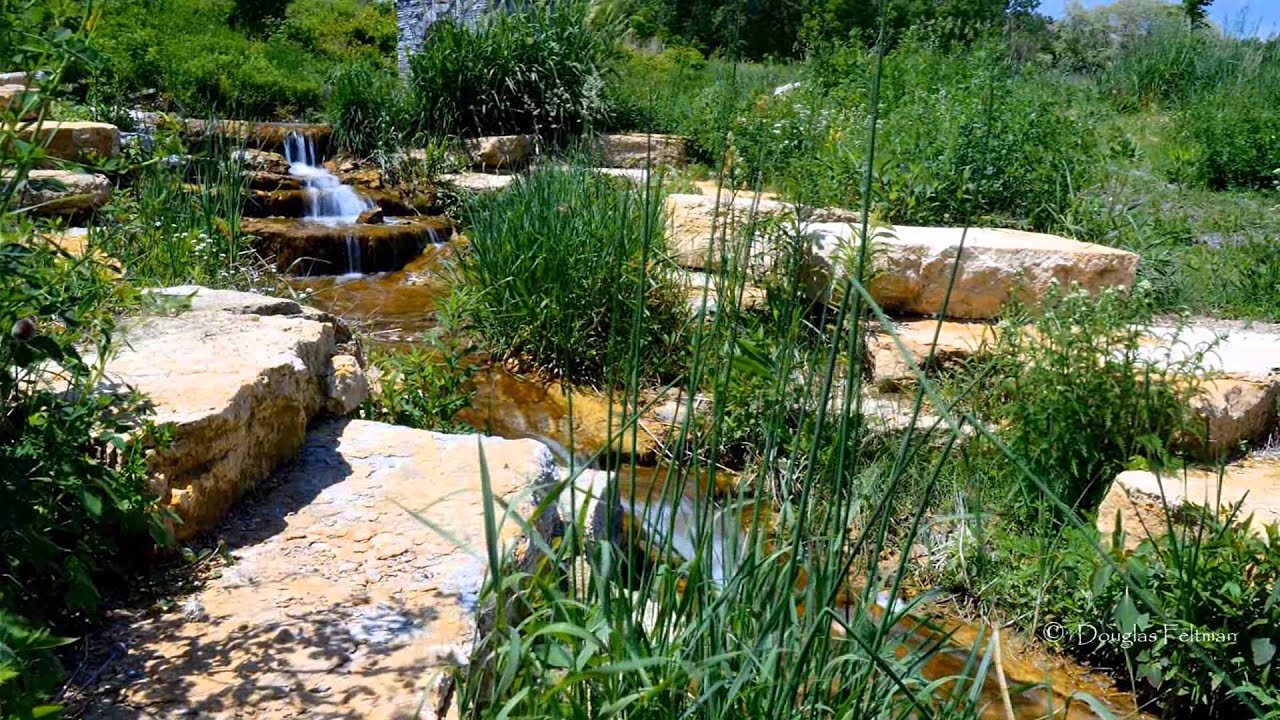 Coldwater Spring Park-Minneapolis Minnesota time lapse - YouTube