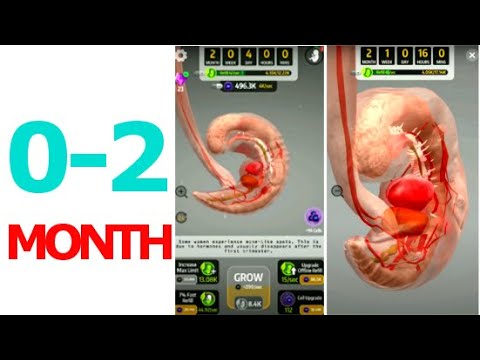 9 Months (by Green Panda Games) - Android Game Gameplay - YouTube